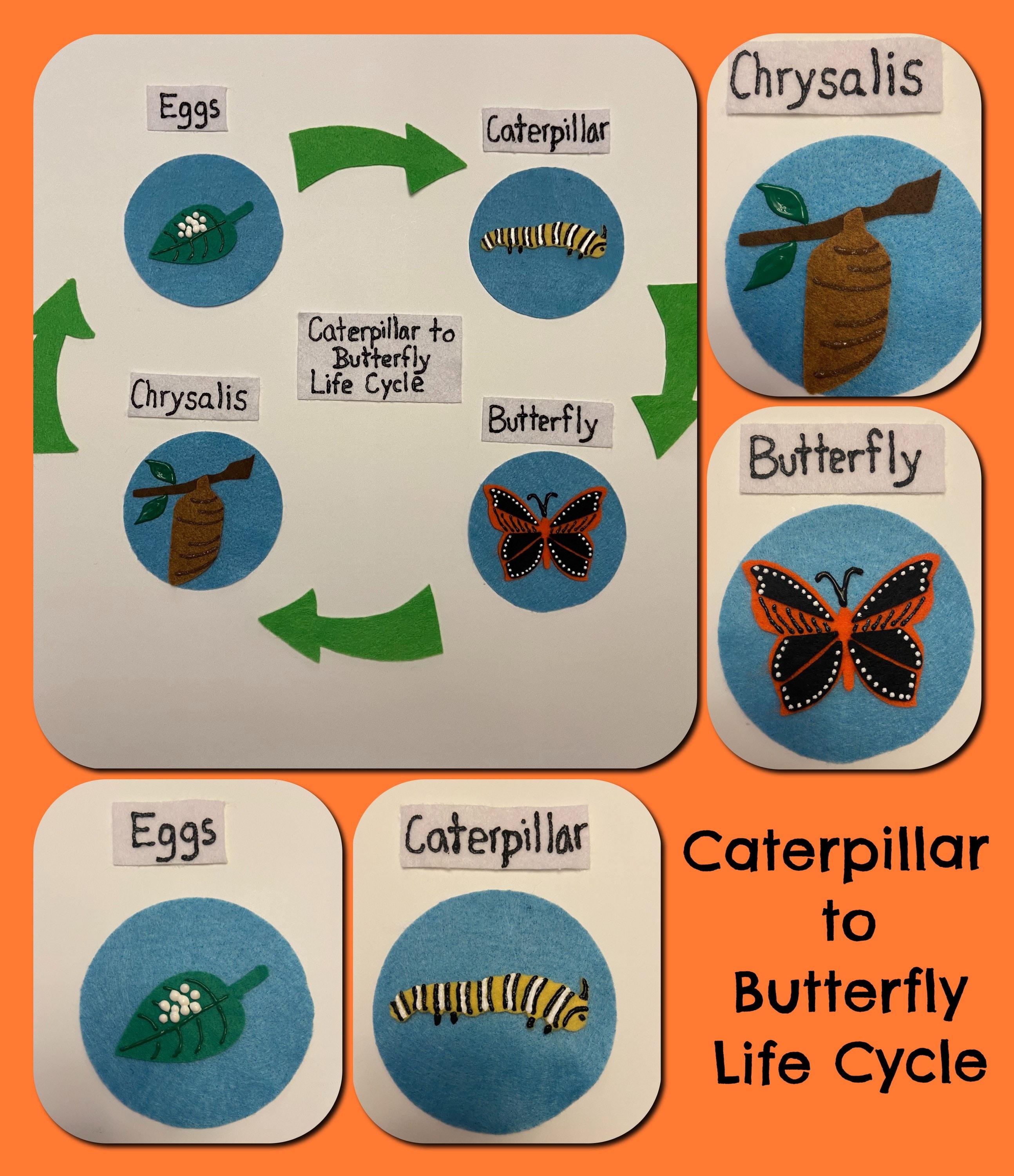 Caterpillar to Butterfly Life Cycle Felt Set, Teacher Resource ...