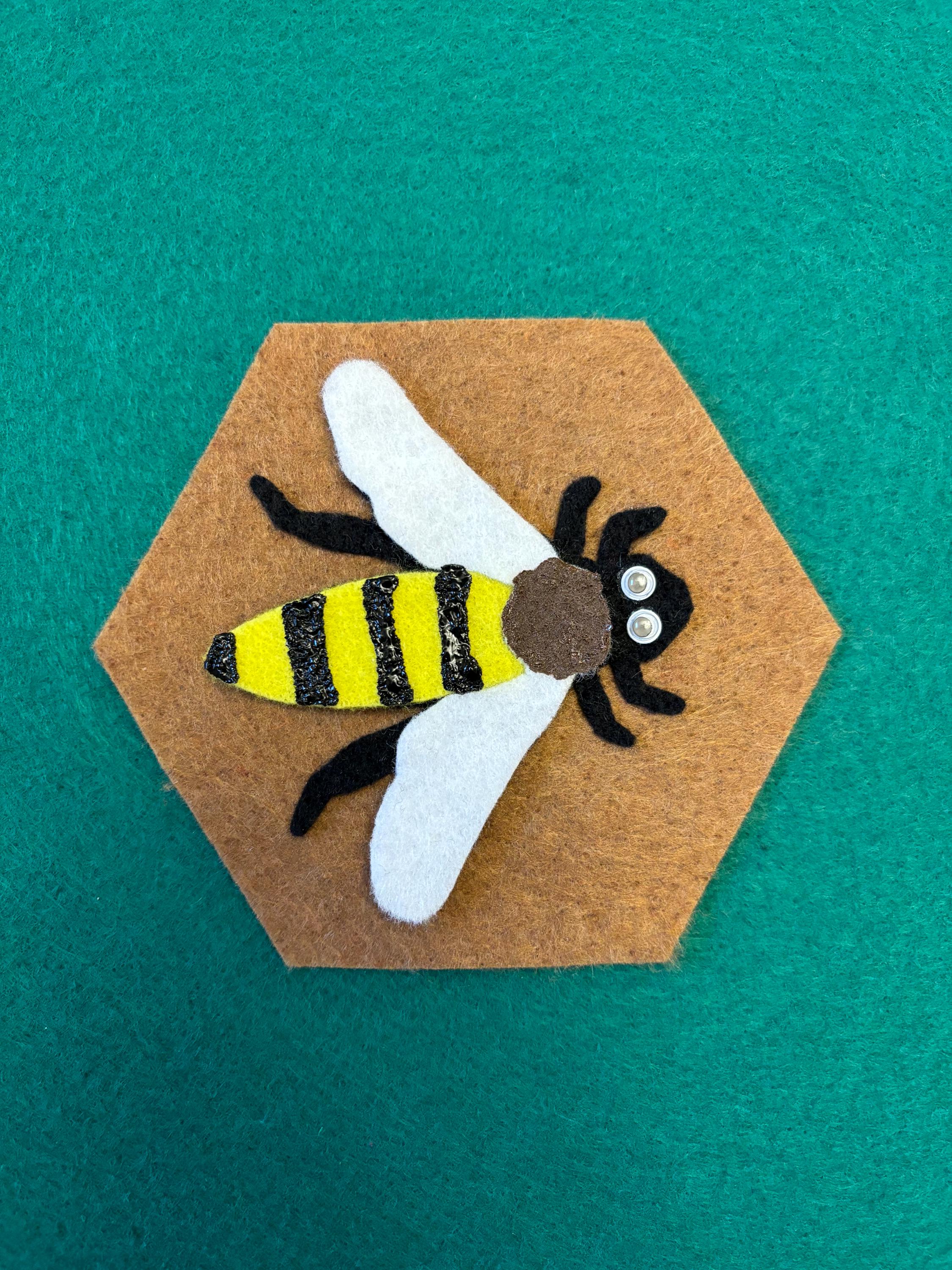 Bee Life Cycle Felt Board Set, Teacher Resource - Etsy
