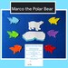 Marco the Polar Bear Felt Set/circle Time/storytime Activity/preschool ...