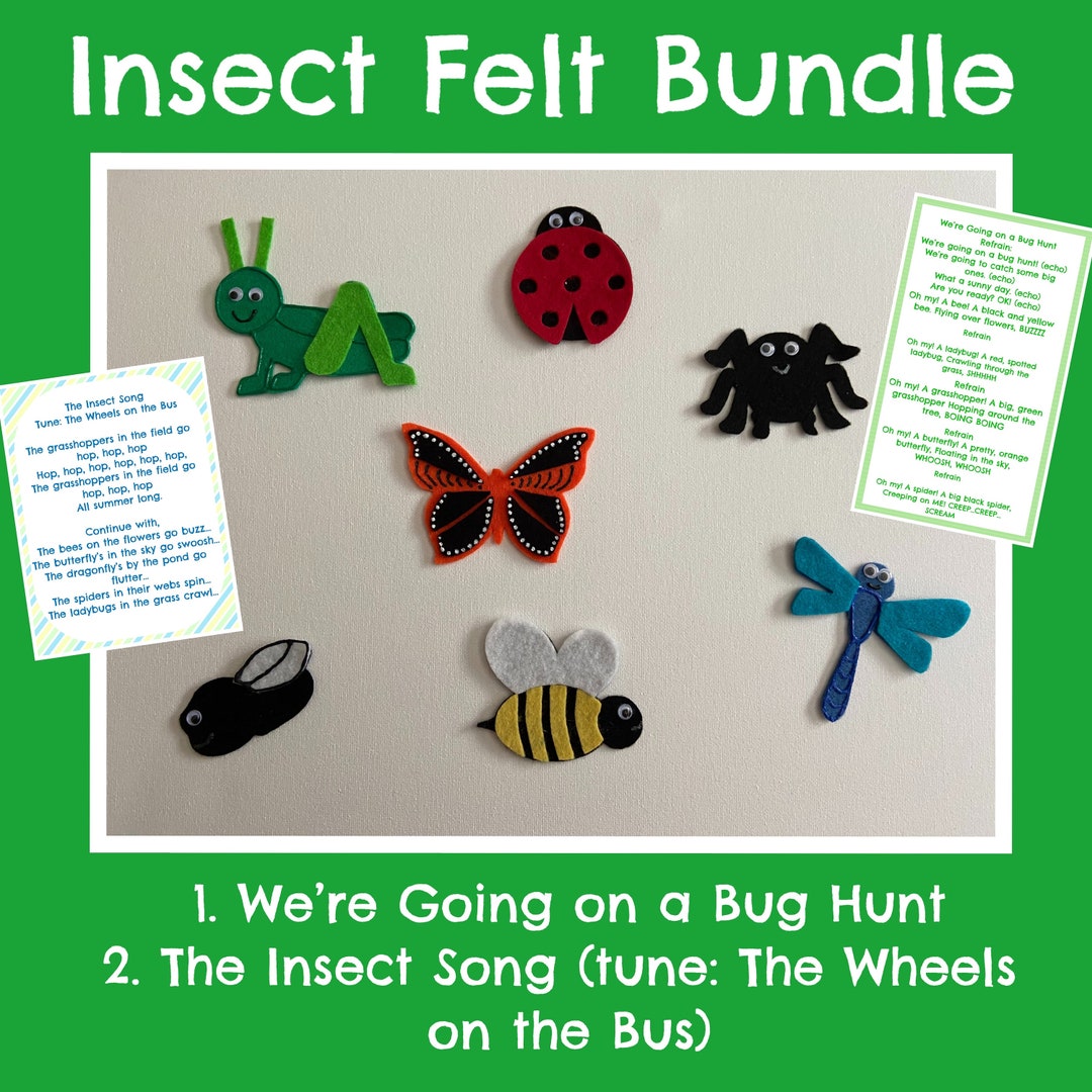 Insect Felt Bundle, Felt Board Story, Felt Set, Circle Time, Preschool ...