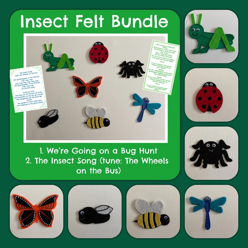 Insect Felt Bundle, Felt Board Story, Felt Set, Circle Time, Preschool ...
