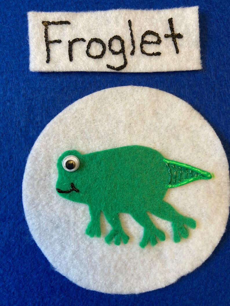 Frog Life Cycle Felt Set // Teacher Resource//education Felt/ Felt ...