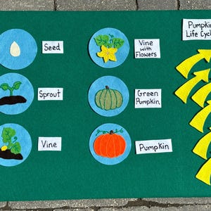 Life Cycle of a Pumpkin Felt Set // Teacher Resource//education Felt ...