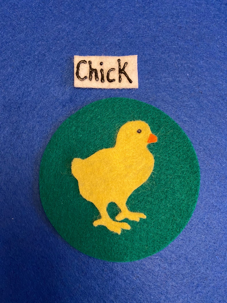Chicken Life Cycle Felt Board Set - Teacher Resource - Etsy