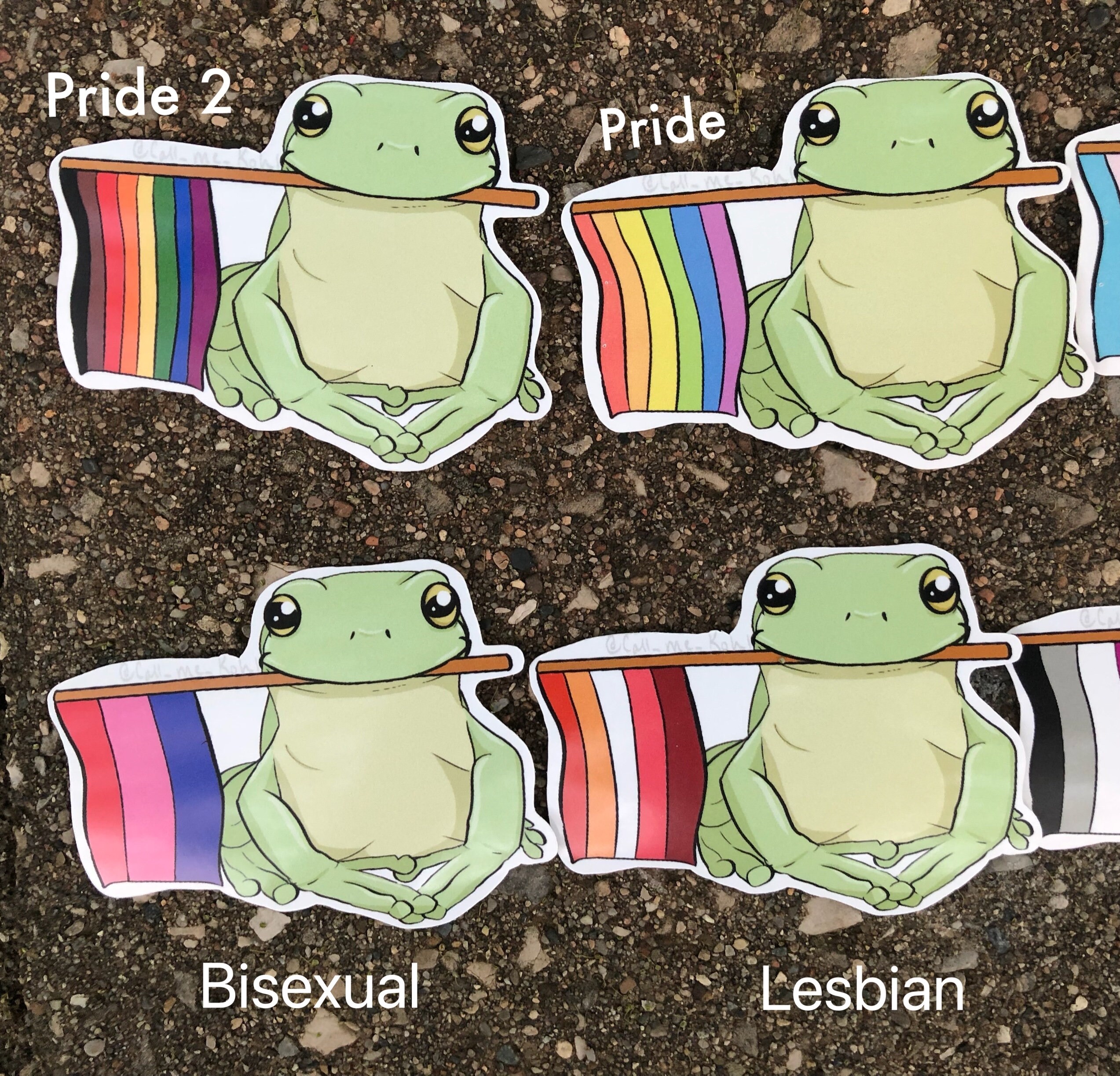 Pride Flag Frog Stickers 2 0 Etsy