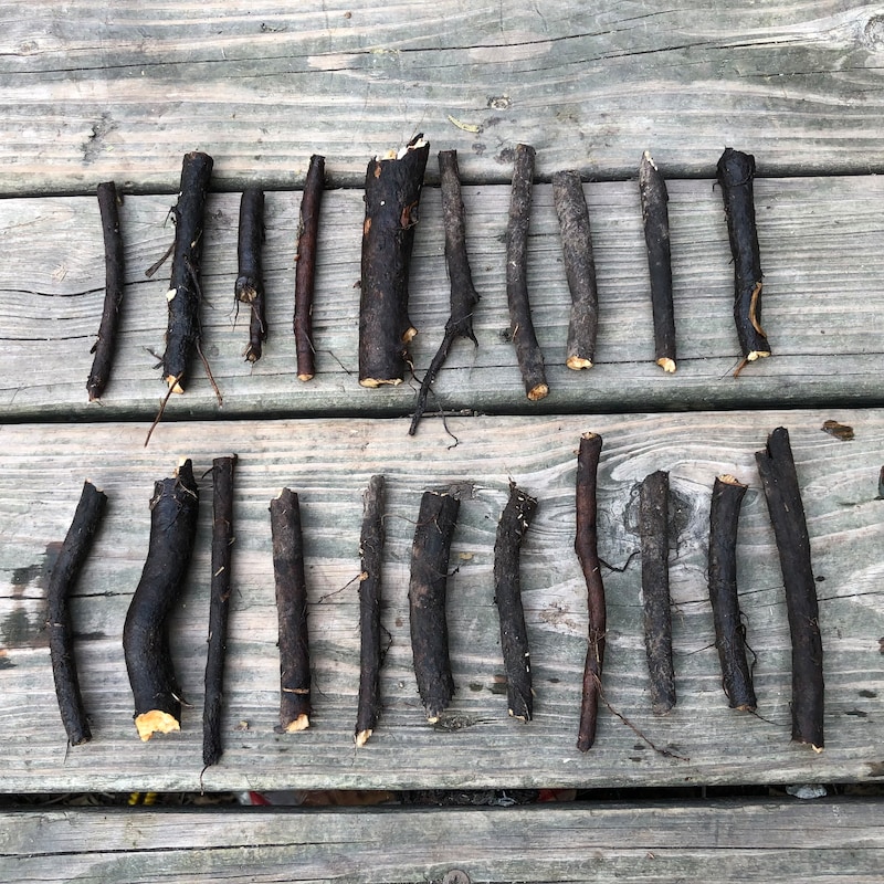 Perennials for Food - Etsy