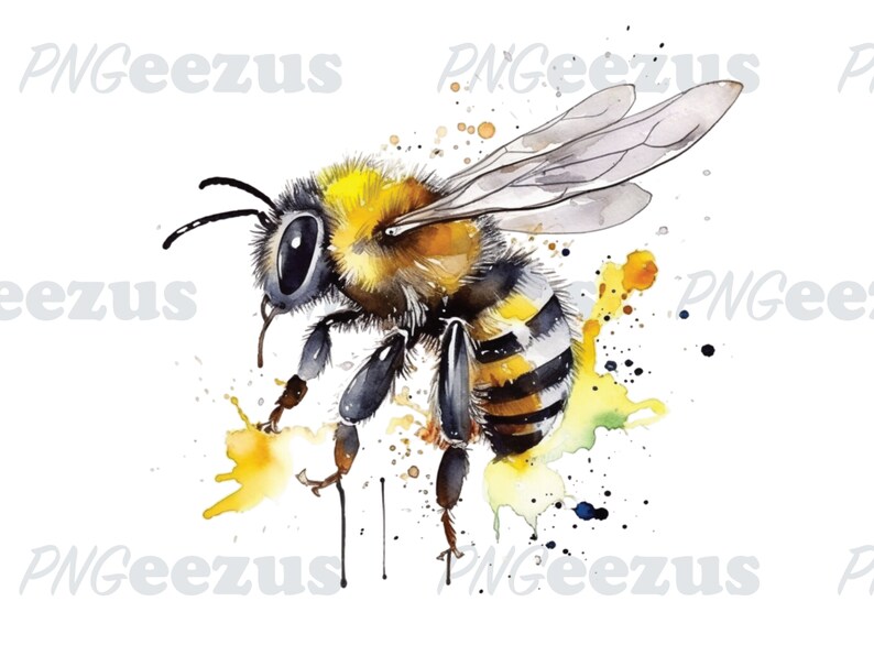 Watercolor Honey Bee Clipart Honey Bee PNG Honey Bee Digital - Etsy