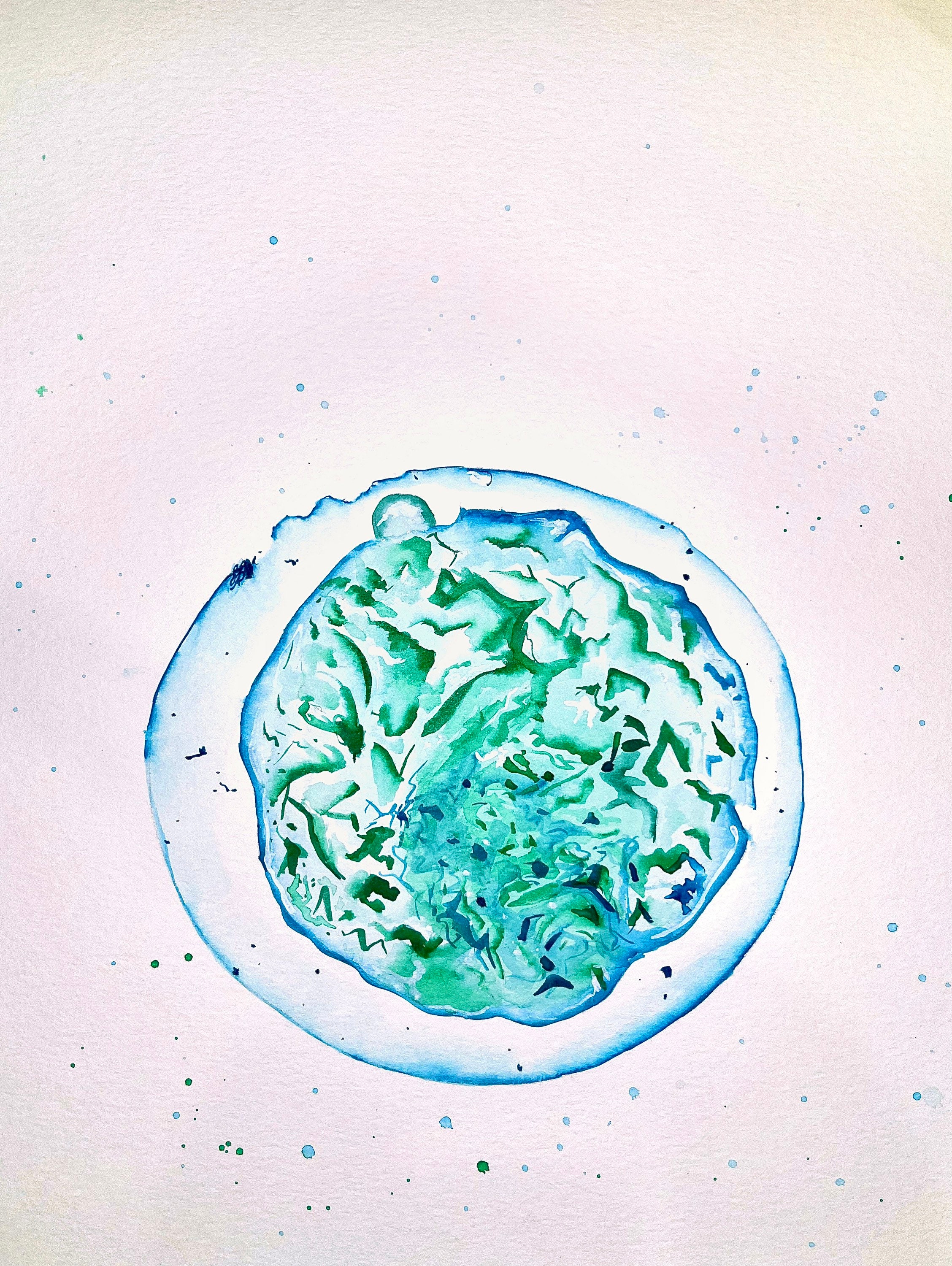 Custom Embryo Art- Watercolor. NOT A PRINT - Etsy