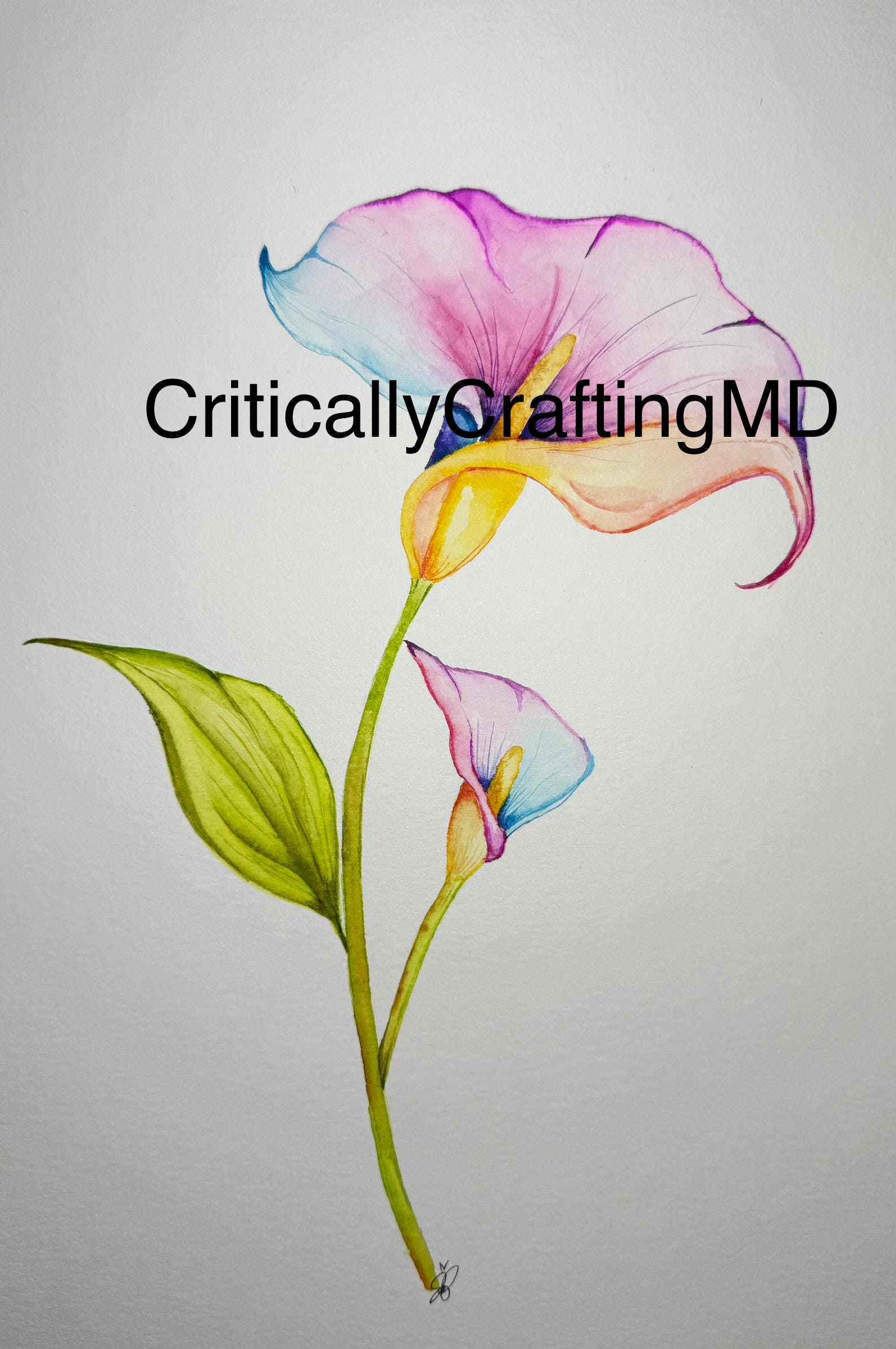 Rainbow Lily - Etsy