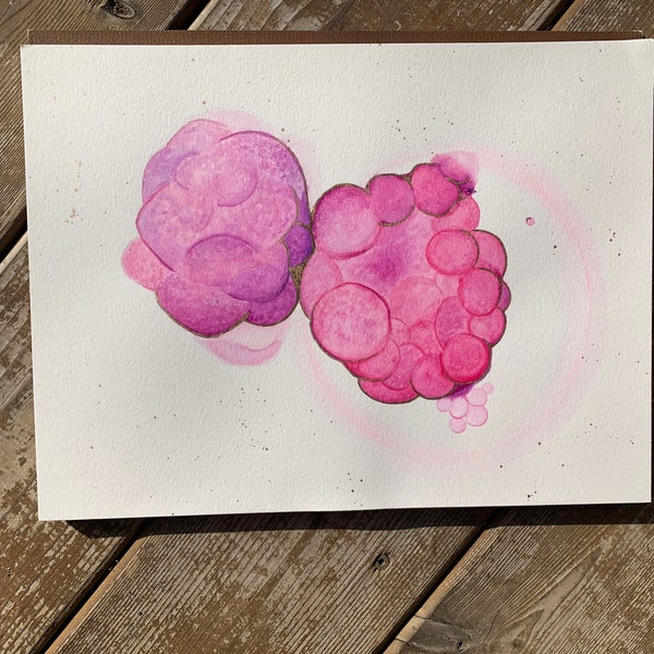 Embryo Art - Etsy
