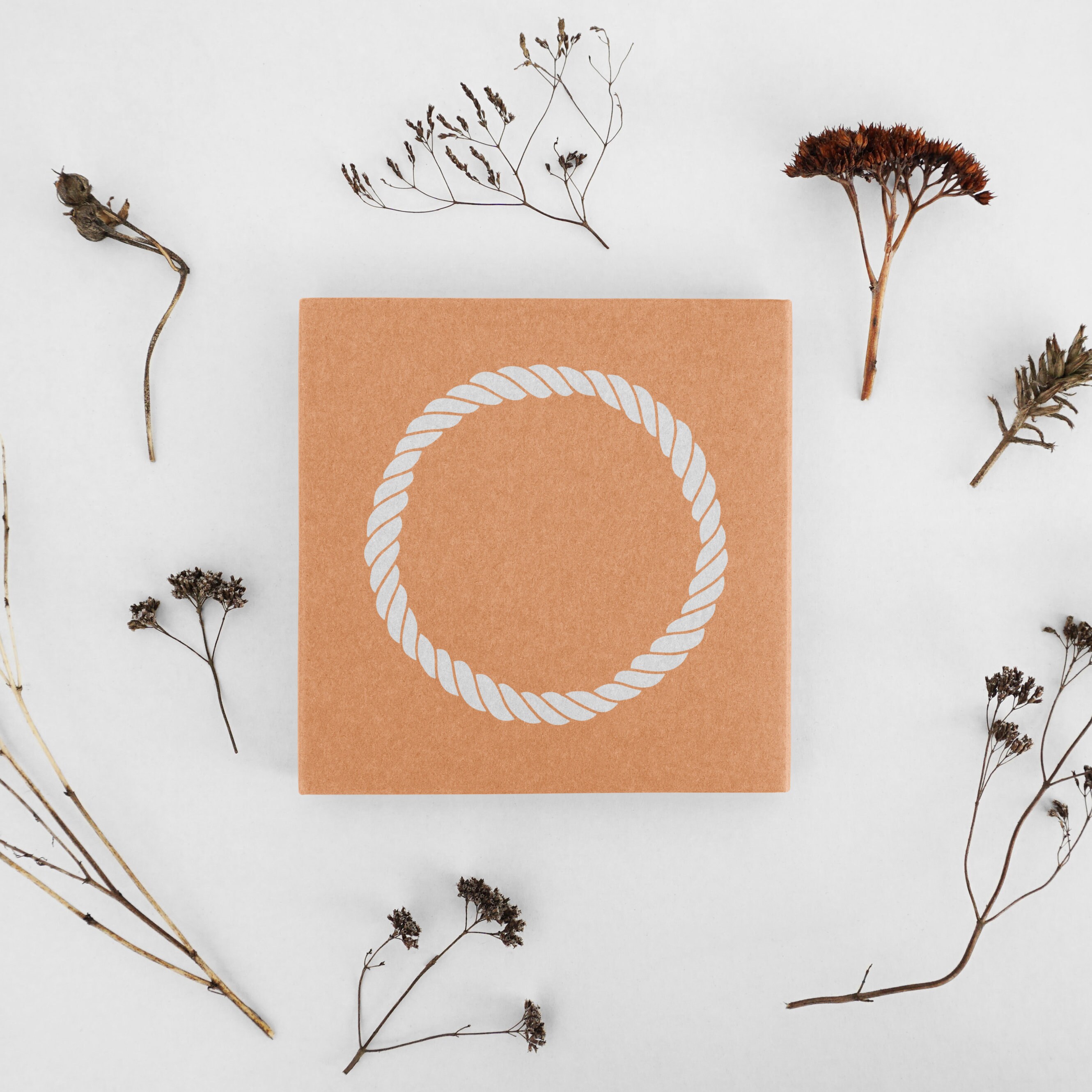 Rope Border SVG Cricut Cut File, Wreath Svg DXF PNG Eps Rope Round ...