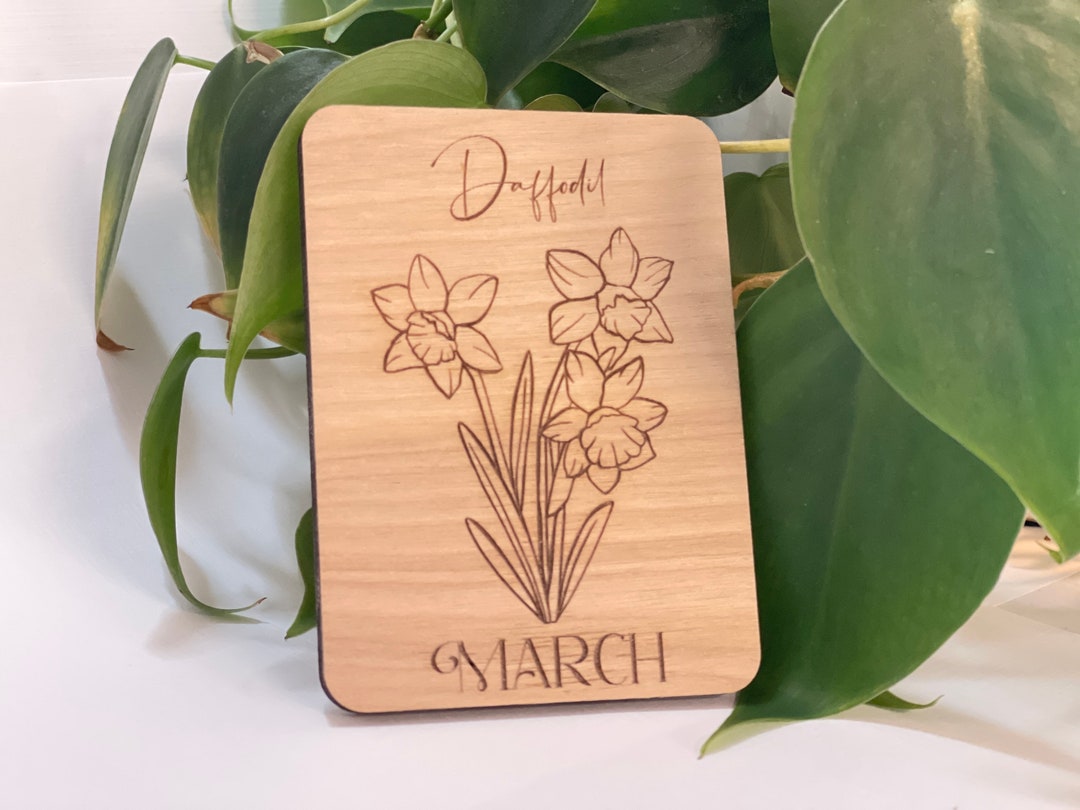 March Daffodil Birth Month Flower Magnet, Cute Boho Baby Shower Gift ...
