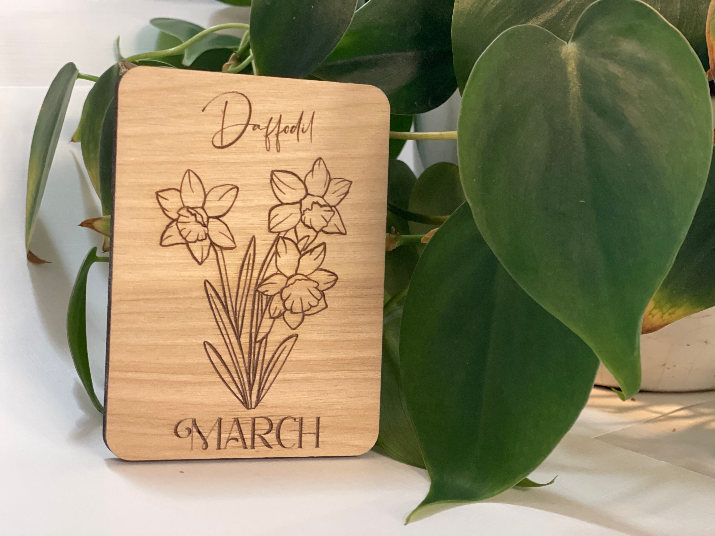 March Daffodil Birth Month Flower Magnet, Cute Boho Baby Shower Gift ...