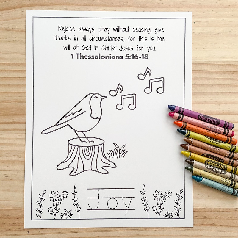 SeedsAndScribbles - Etsy