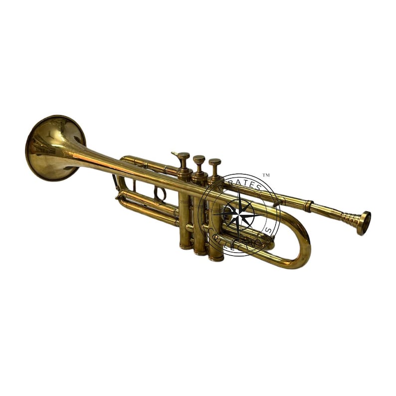 Professional Bb Trumpet Brass Polished Brand New Edition With ...