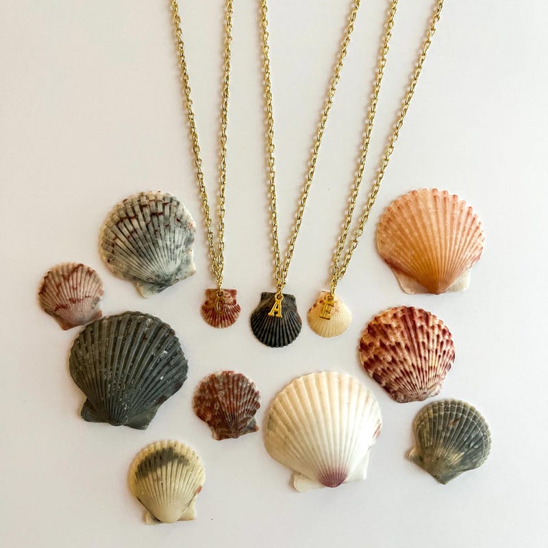 Scallop Shell Necklace - Etsy
