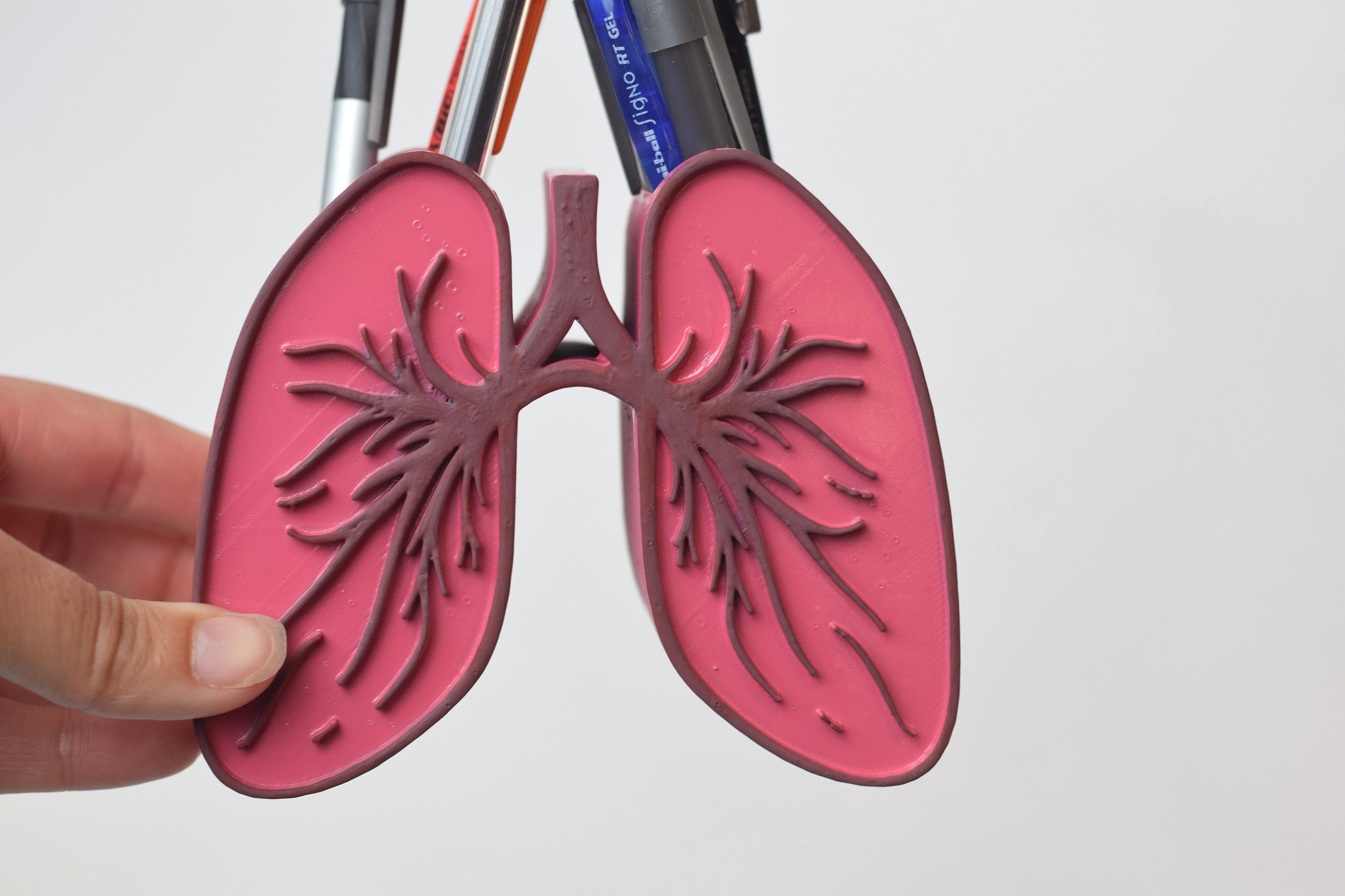 Lung Pen Holder Respiratory Lungs Gift Organ Pen Holder - Etsy