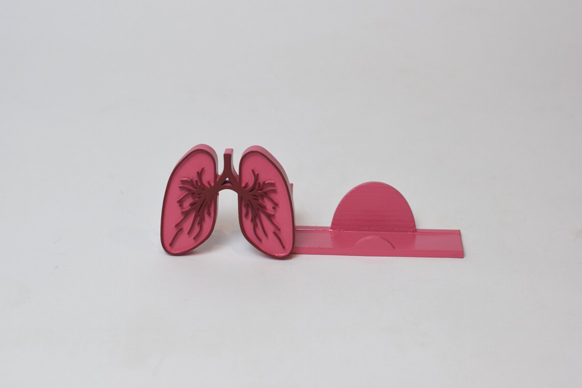 Lung Business Card Holder, Respiratory, Lungs Gift, Organ, Respiratory ...