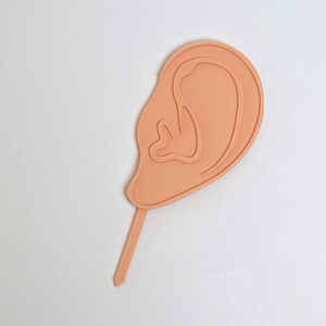 Ear Cake Topper Ear Gift Audiologist Gift Audiology Party ENT Gift ENT ...