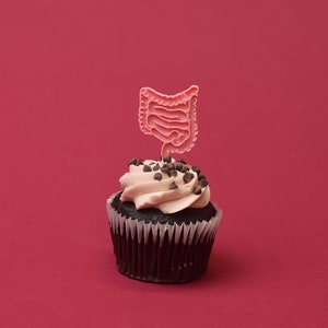 Intestine Cupcake Toppers, Gastrointestinal Party Decor - Etsy