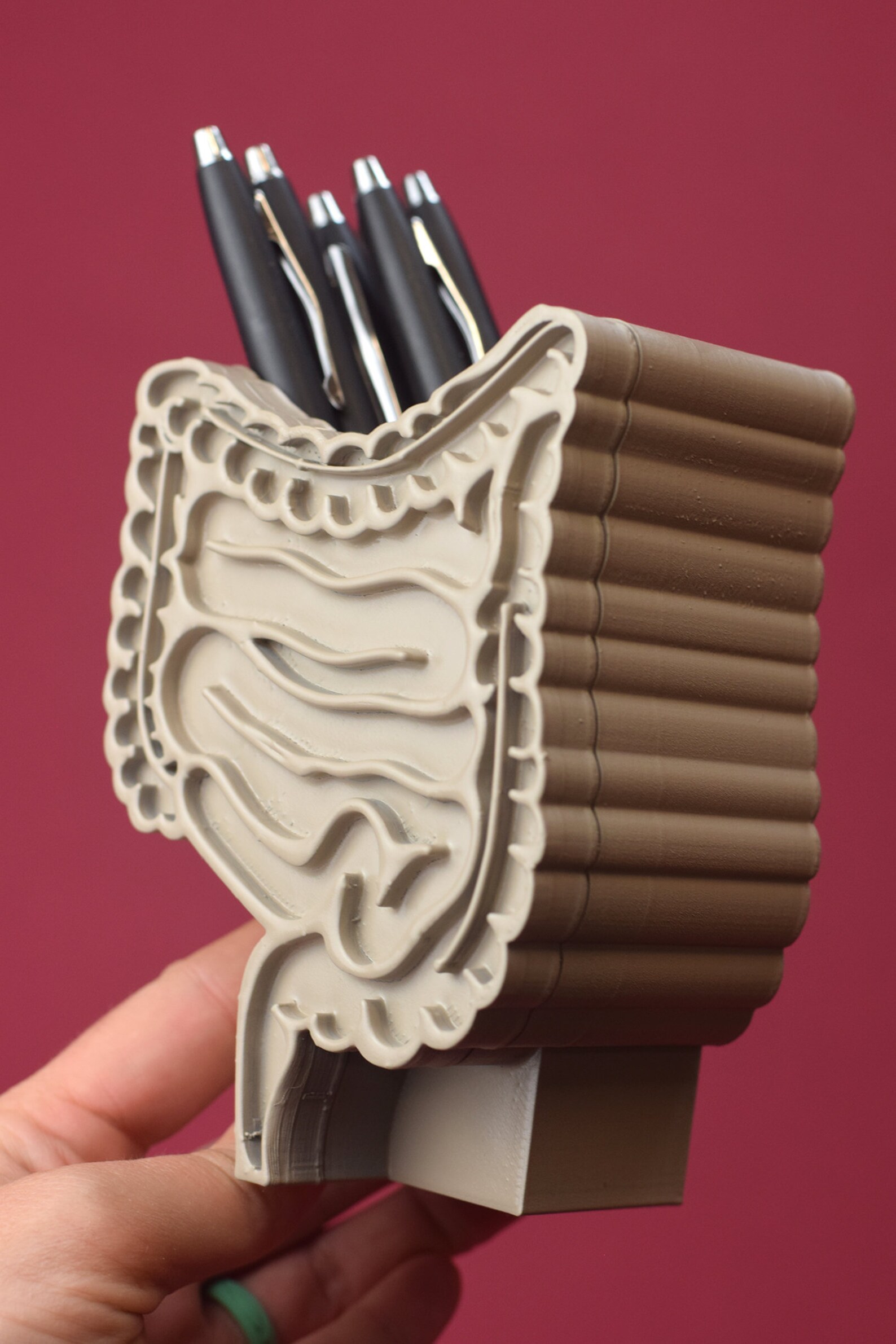 Intestine Pen Holder Digestive Gift Gastrointestinal Decor - Etsy