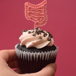Intestine Cupcake Toppers, Gastrointestinal Party Decor - Etsy