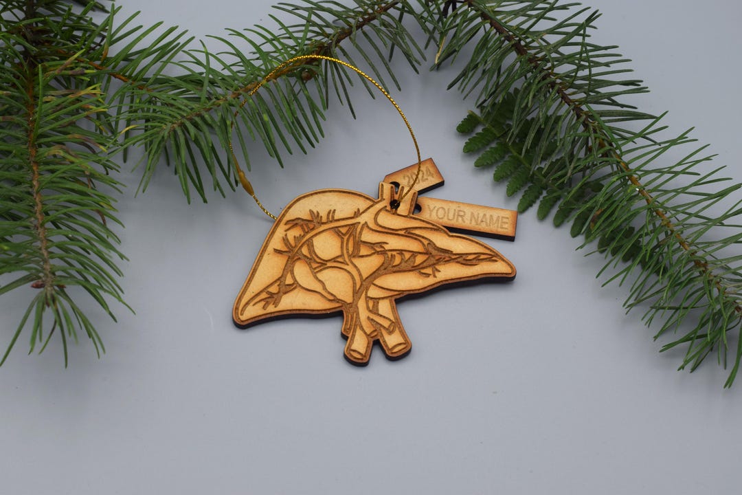Wood Liver Christmas Ornament Medical Ornament Organ Ornament Liver ...