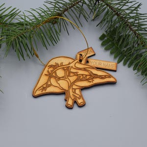 Wood Liver Christmas Ornament Medical Ornament Organ Ornament Liver ...