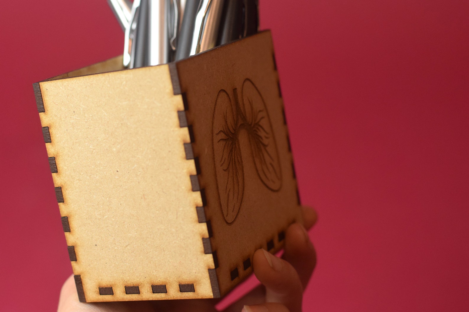 Lung Pen Holder, Respiratory, Lungs Gift, Organ Pen Holder, Respiratory ...