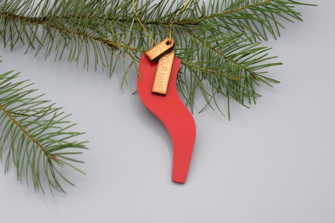 Appendix Christmas Ornament, Medical Ornament, Organ Ornament, Appendix ...