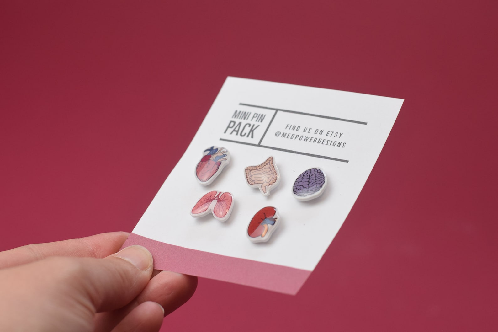 Organ Mini Pin Pack, Human Brain Pin, Intestine Pin, Anitomical Heart ...
