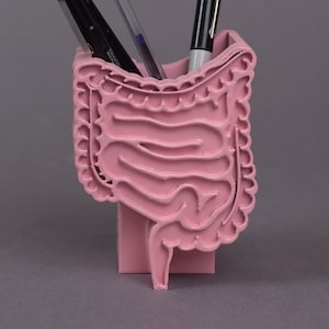 Intestine Pen Holder: Gastrointestinal Decor, Medical Gift - Etsy