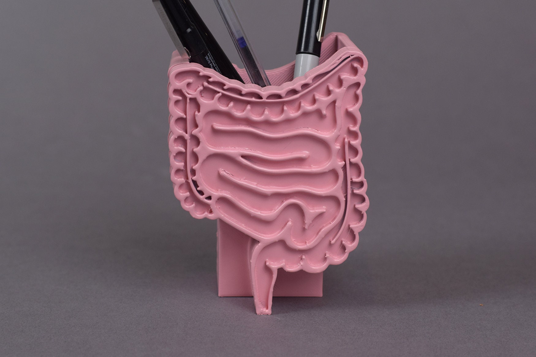 Intestine Pen Holder: Gastrointestinal Decor, Medical Gift - Etsy