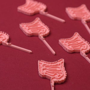 Intestine Cupcake Toppers, Gastrointestinal Party Decor - Etsy
