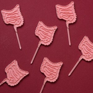 Intestine Cupcake Toppers, Gastrointestinal Party Decor - Etsy