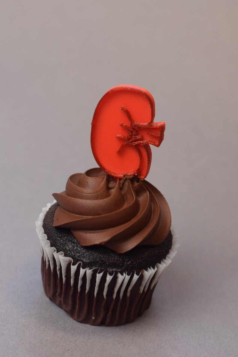 Kidney Cupcake Toppers Organ Cupcake Topper Doctor Medical - Etsy