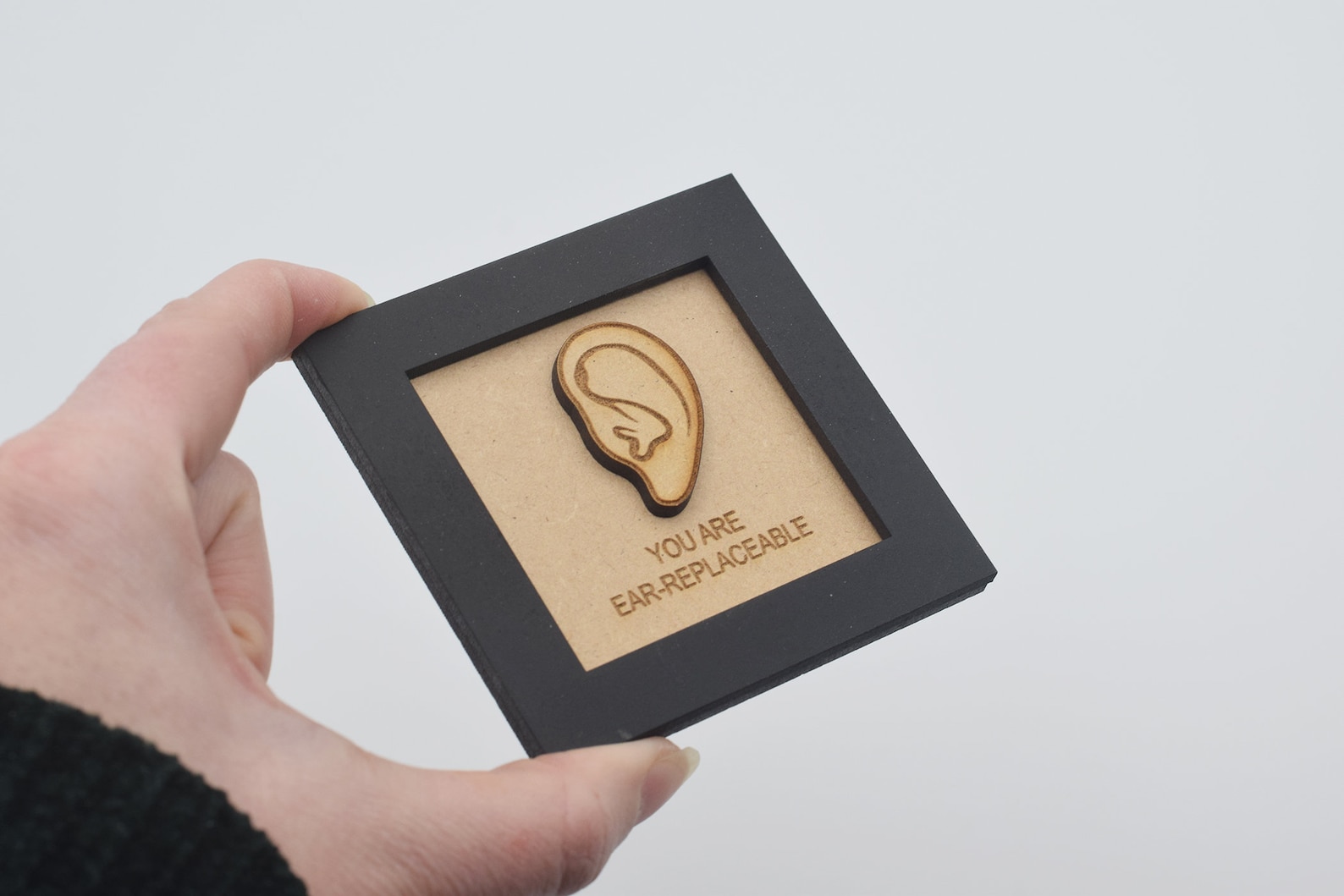 Ear Mini Frame Gift, Ear Decor, Audiologist Gift, Audiology ...