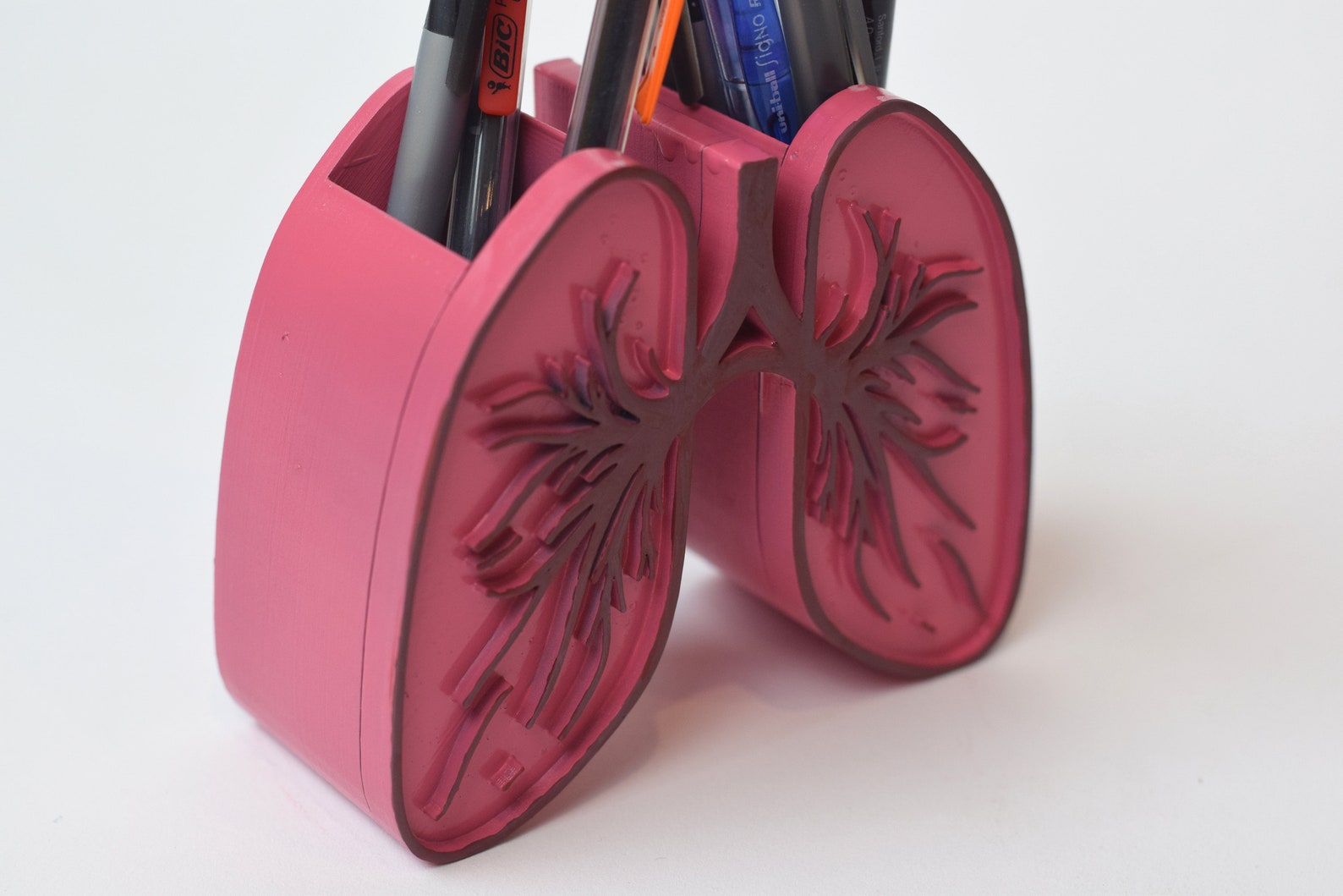 Lung Pen Holder Respiratory Lungs Gift Organ Pen Holder - Etsy