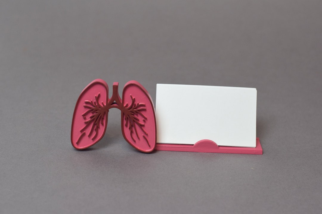 Lung Business Card Holder, Respiratory, Lungs Gift, Organ, Respiratory ...