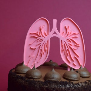 Lung Cake Topper Respiratory Lungs Gift Organ Cake Topper Respiratory ...