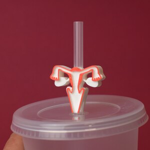 Uterus Straw Toppers, Ovary Straw Topper, Female Reproductive System ...