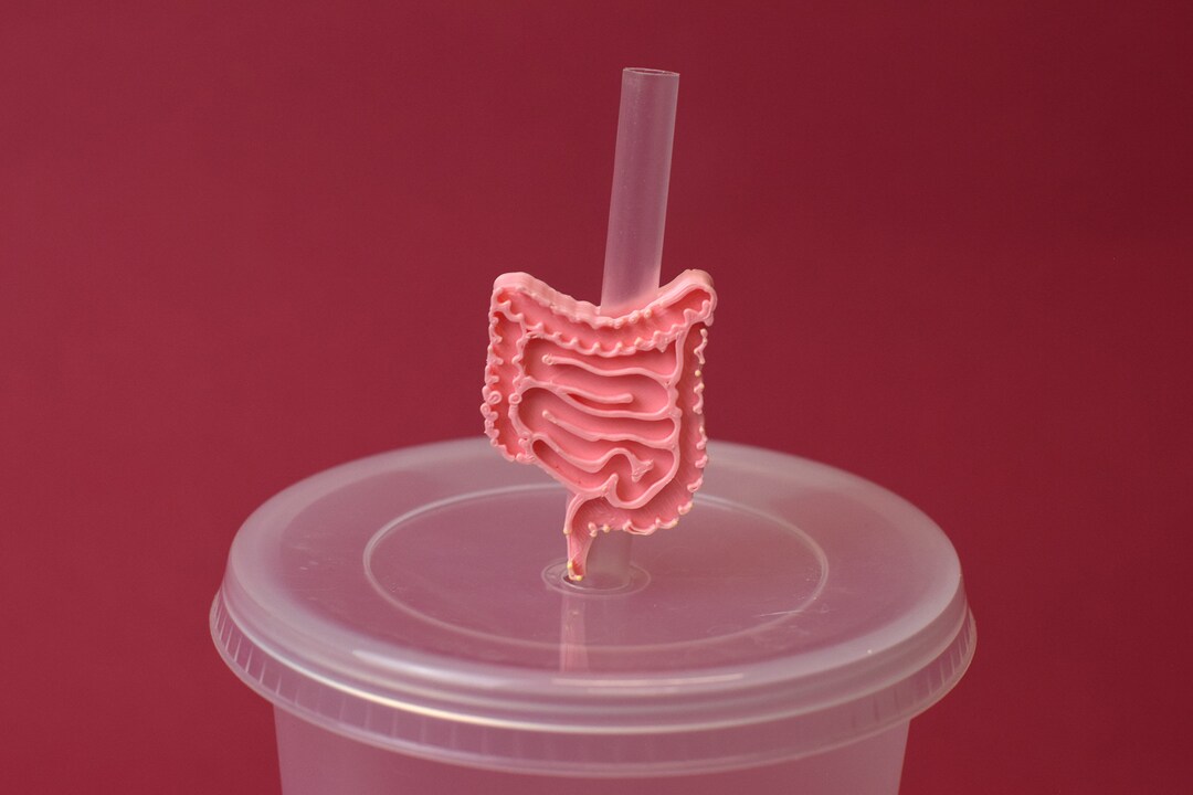 Intestine Straw Topper, Intestine, Digestive, Gastrointestinal ...