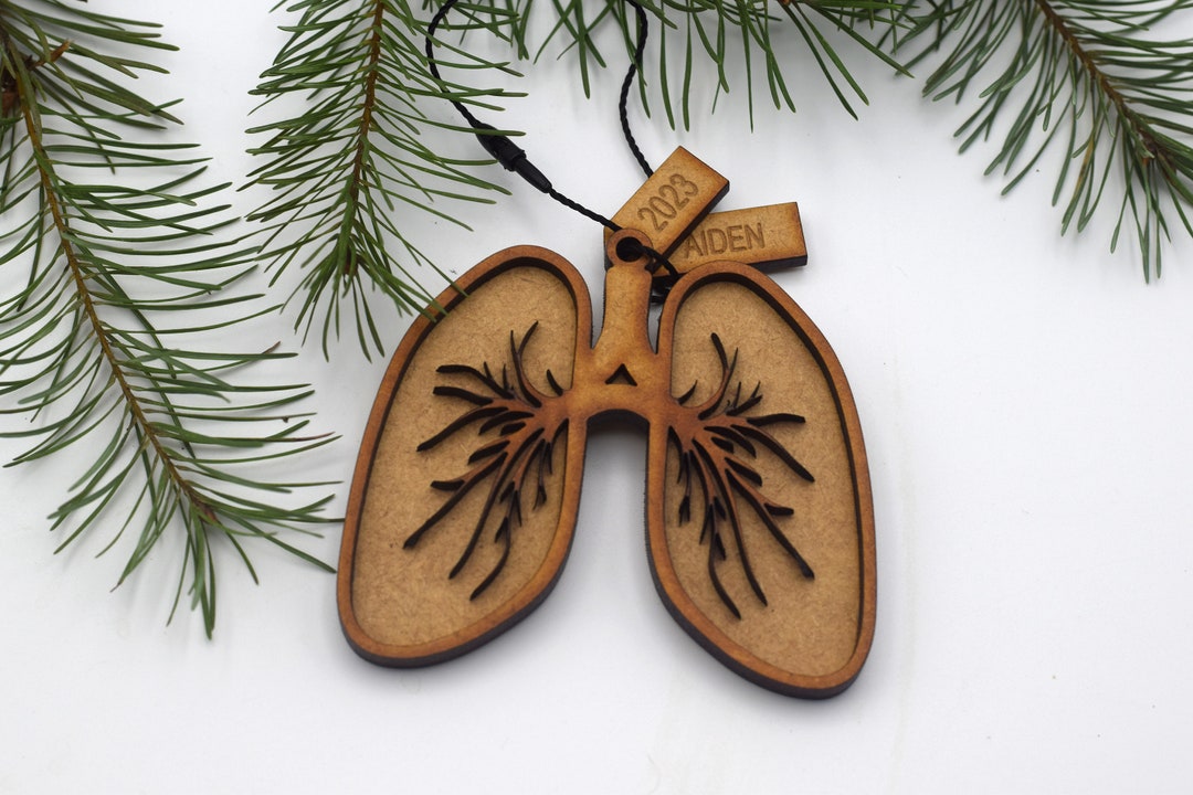 Lung Ornament Respiratory Lungs Gift Organ Ornament Respiratory Therapy ...