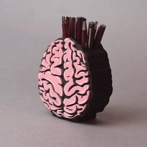 Hand Painted Brain Pen Holder: Medical Office Decor - Etsy