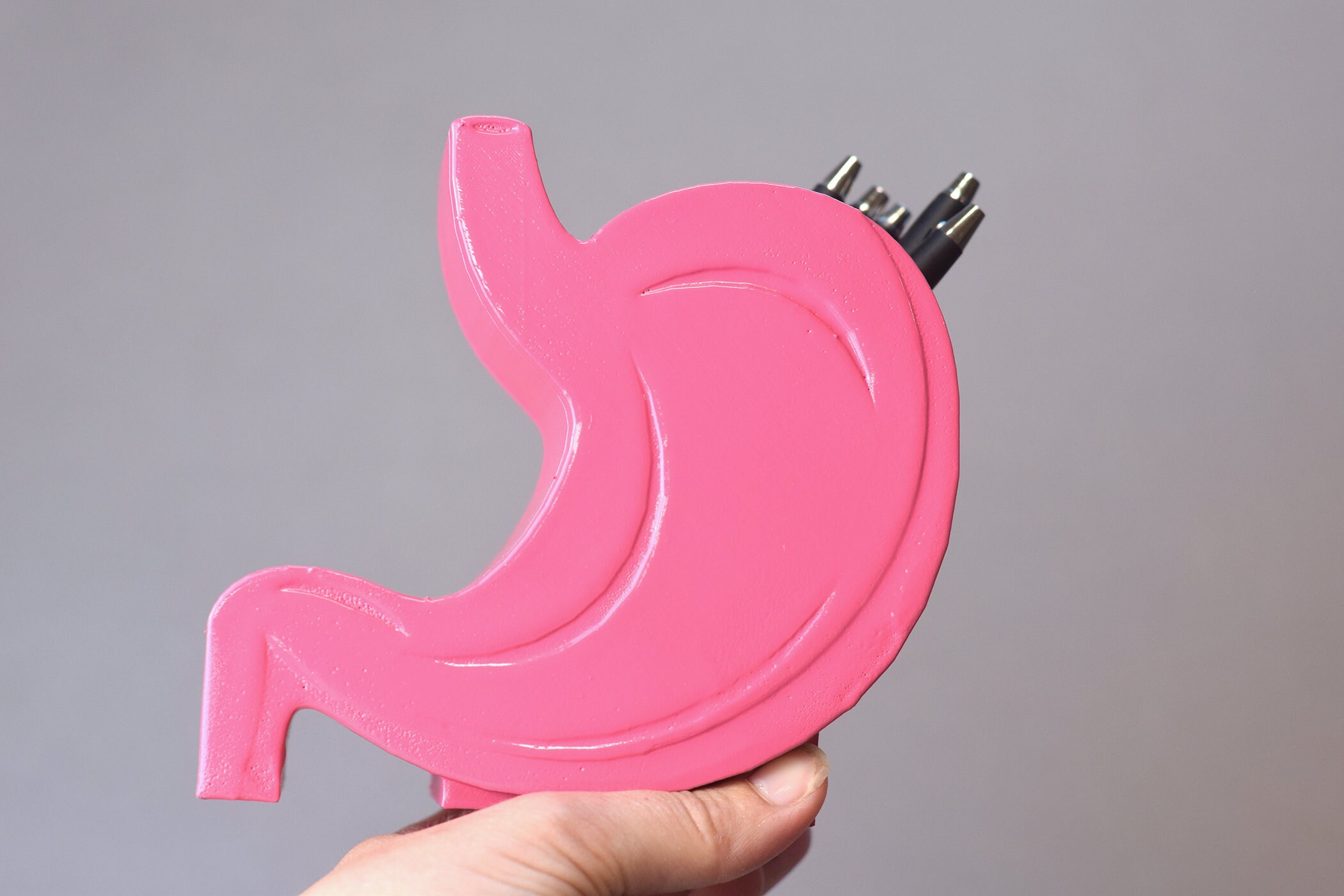 Stomach Pen Holder, Stomach Gift, Stomach Cancer, Gastroenterologist ...