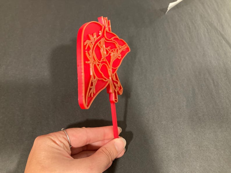 Liver Cake Topper, Medical Cake Decorations, Gift for Doctor, Liver ...
