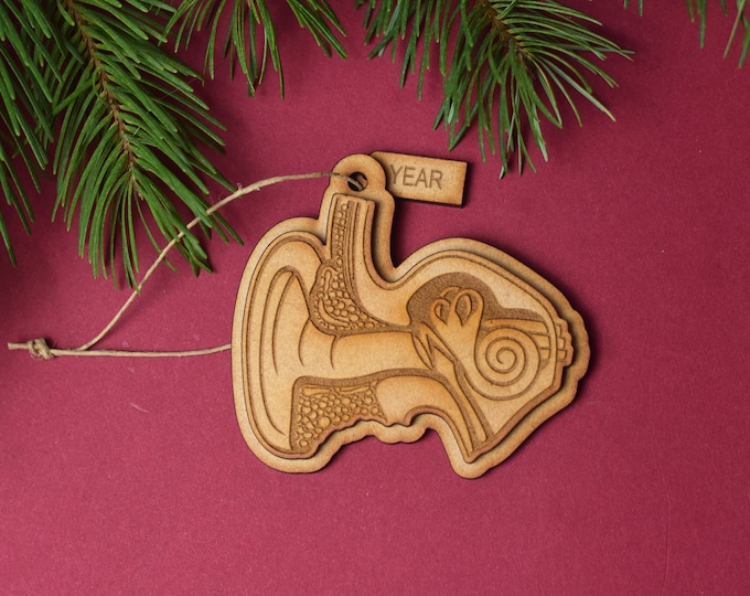 Human Ear Necklace in Sterling Silver, Hearing Anatomy Pendant Jewelry ...