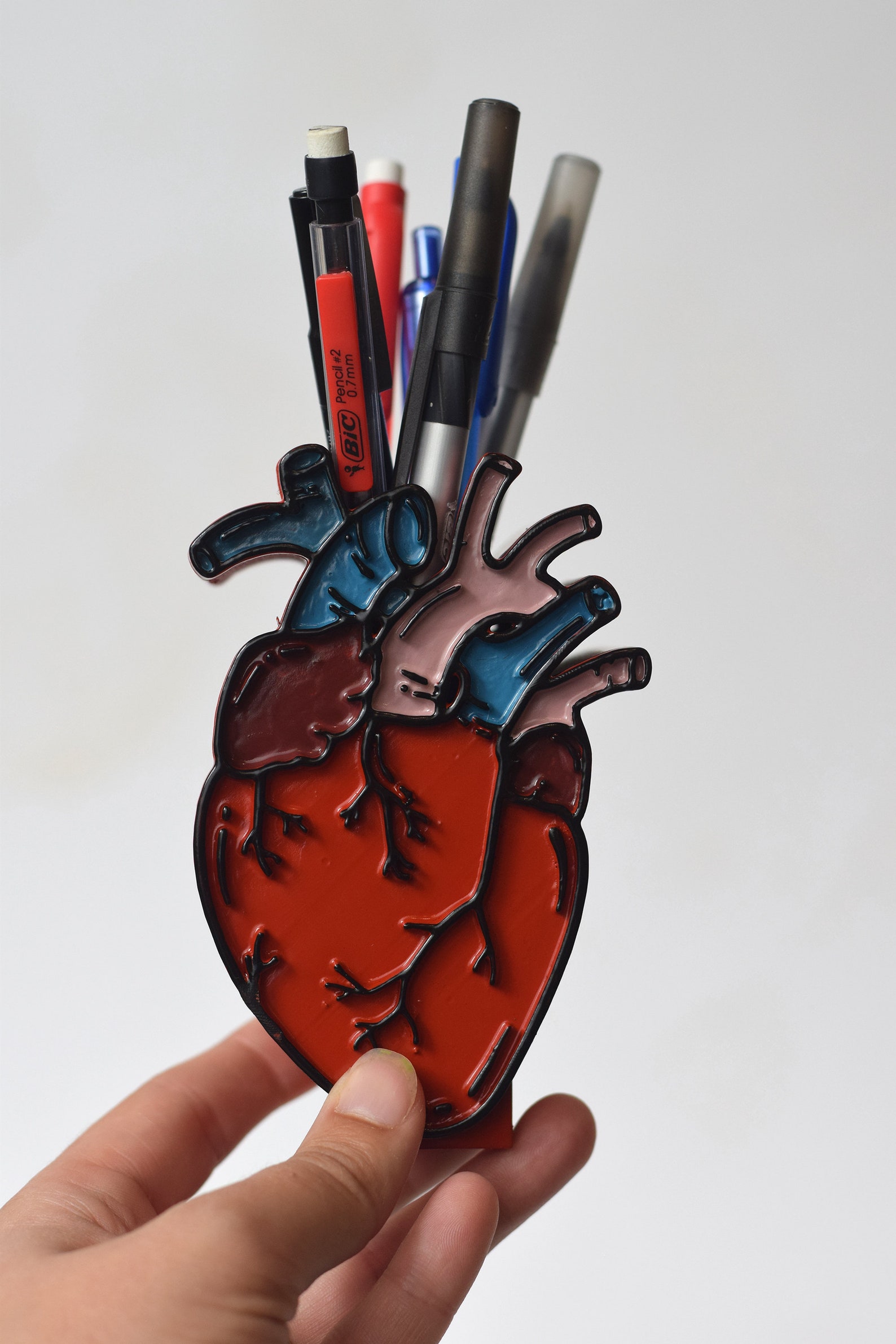 Anatomical Human Heart Pen Holder Heart Decor Doctor | Etsy