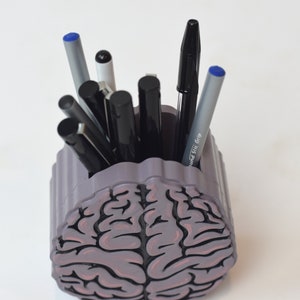 Brain Pen Holder, Neurologist, Neuro, Brain, Neurology, Brain Decor ...
