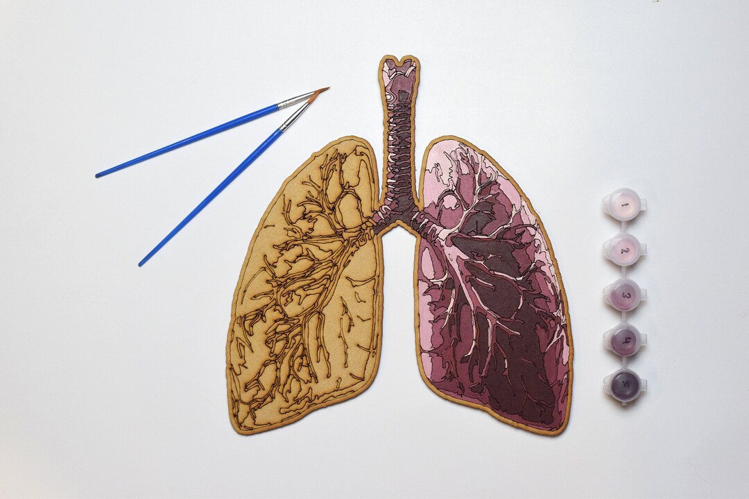 Lung Paint by Number Kit Lung Gift Lung Cancer Transplant Doctor Gift ...